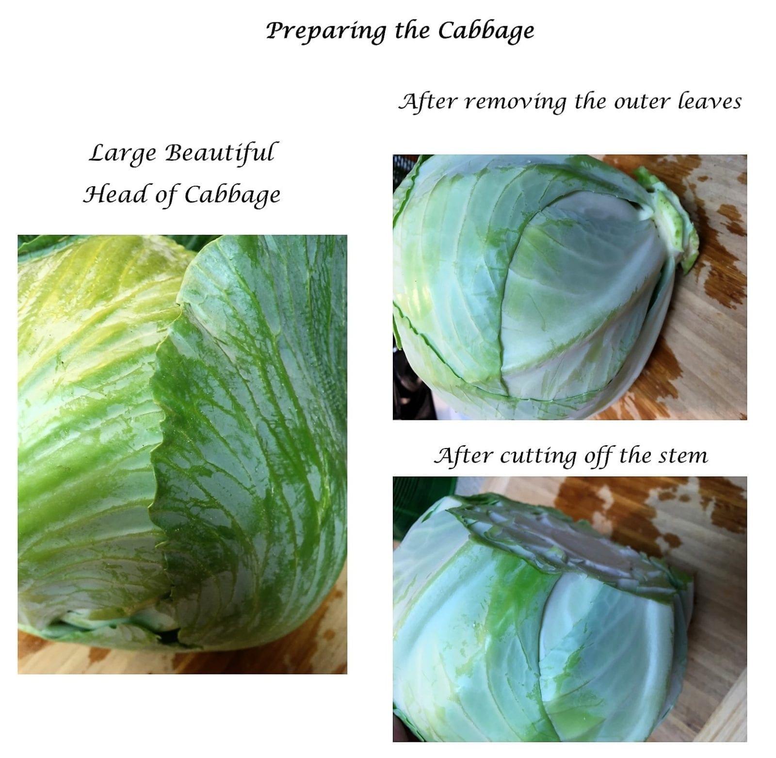 How to Make Amazing Cabbage Rolls - Pattern Princess