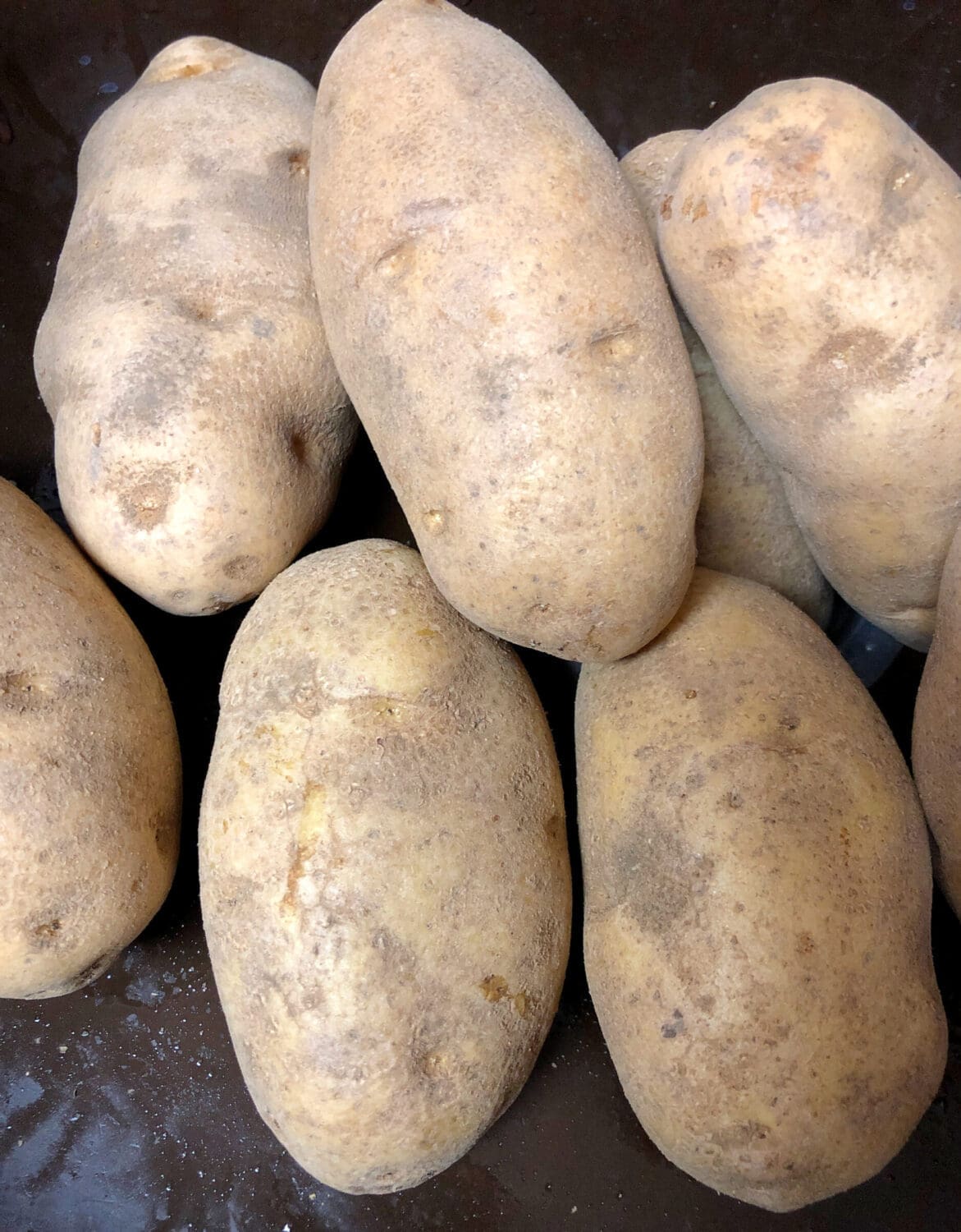 Baked Potatoes in the Oven - Pattern Princess