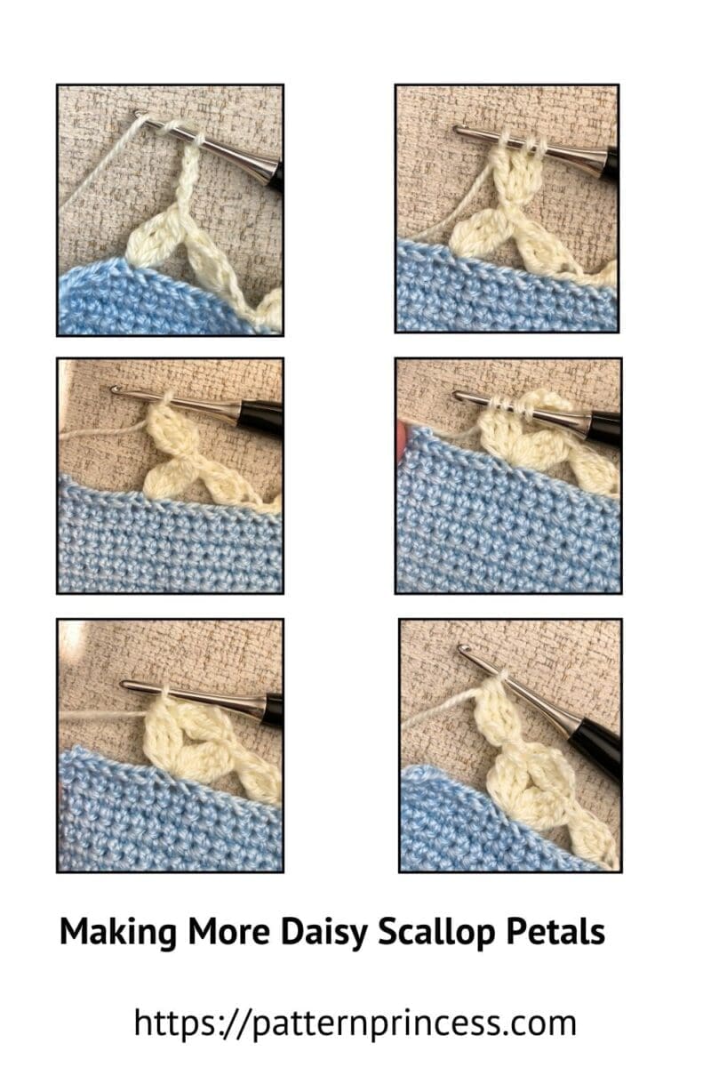 Crochet Daisy Scallop Floral Border Pattern - Pattern Princess